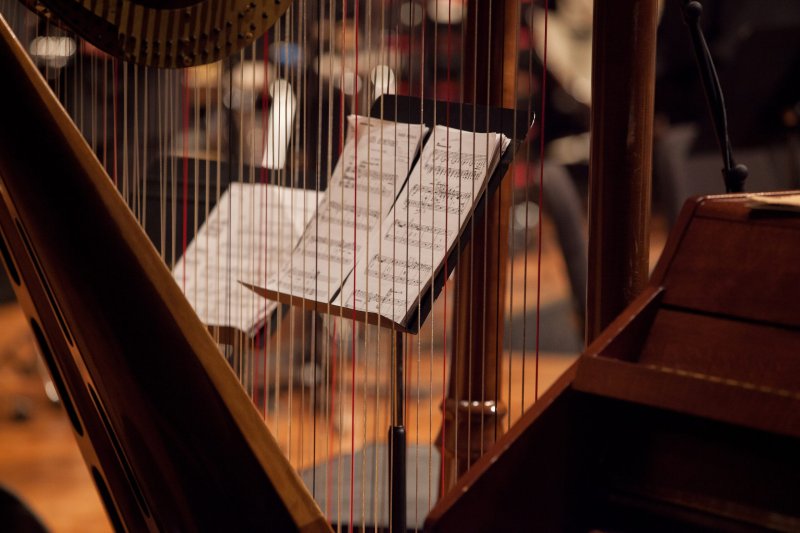 (Expired) Madeline Chen, harp | Happening @ Michigan