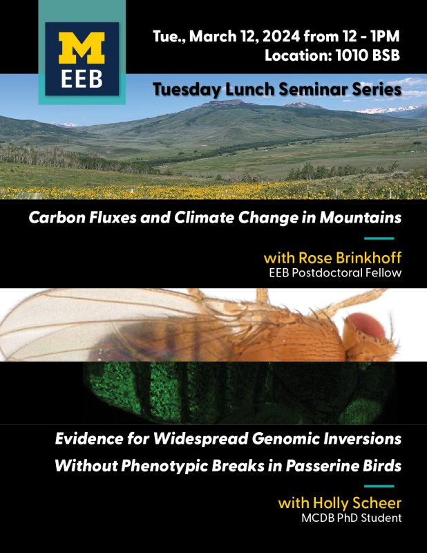 (Expired) EEB Tuesday Seminar Series - with Rose Brinkhoff, EEB ...