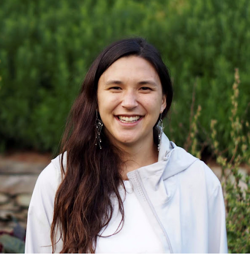 (Expired) IOE 899: High-dimensional Optimization with Applications to ...