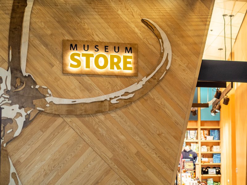 (Expired) Museum Store Annual Sale | Happening @ Michigan