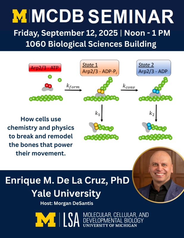 (Expired) MCDB Seminar> How cells use chemistry and physics to break ...