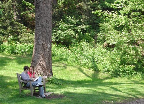 (Expired) Explore the Arb | Happening @ Michigan