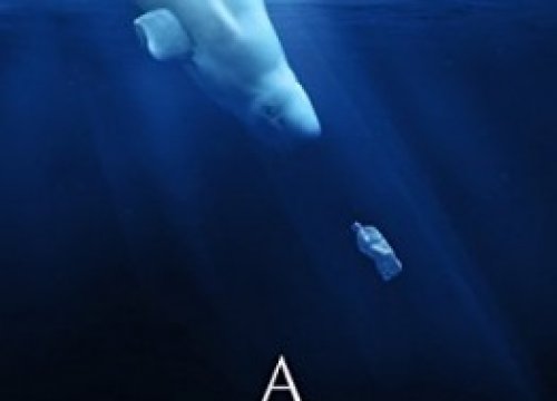 (Expired) Documentary: A Plastic Ocean | Happening @ Michigan