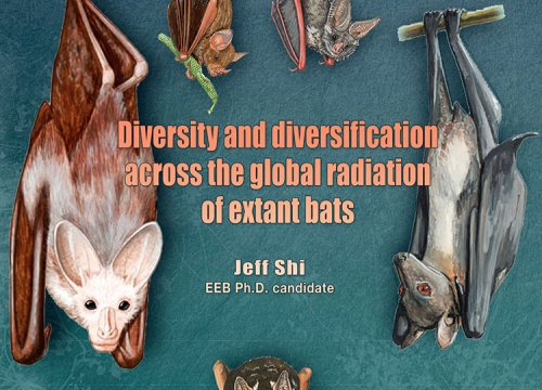 (Expired) Dissertation defense: Diversity and diversification across ...