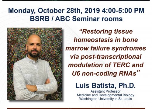 (Expired) RNA Innovation Seminar, Luis Batista, Washington University ...