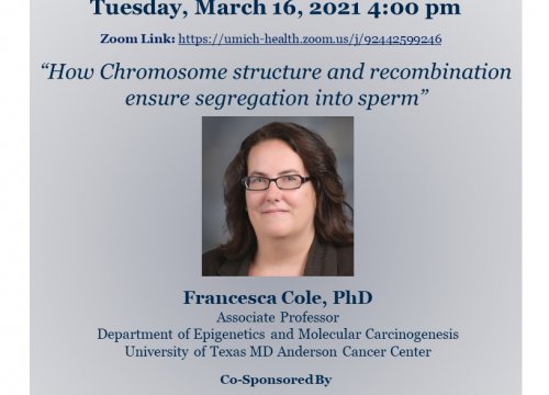 (Expired) How chromosome structure and recombination ensure segregation ...