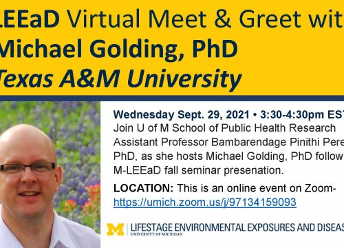 (Expired) M-LEEaD Virtual Meet and Greet with Michael Golding, PhD, Texas A&M University ...