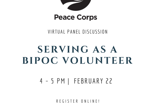(Expired) Panel Discussion | Serving as a BIPOC Volunteer | Happening ...