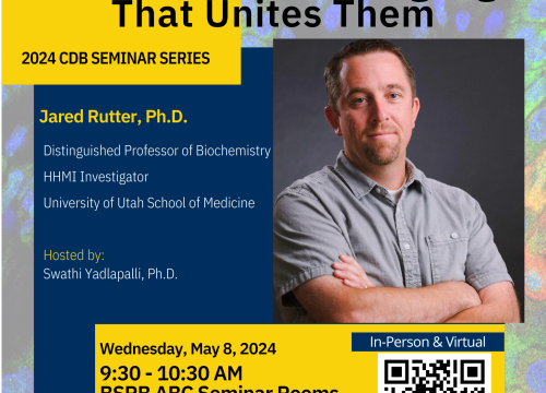 (Expired) Metabolism, Cellular Decision and the Language that unites ...