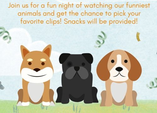 (Expired) Viral Animal Videos for the Huron Valley Humane Society ...