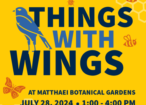 (Expired) Things With Wings | Happening @ Michigan