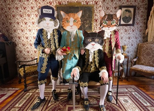 (Expired) Fantastic Cat | Happening @ Michigan