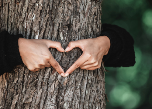 (Expired) Earth Day at The Arb | Happening @ Michigan