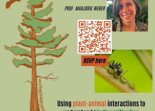 (Expired) MEEBS: Professor Lecture Marjorie Weber | Happening @ Michigan