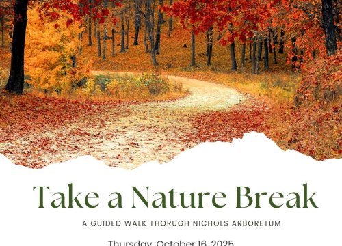(Expired) International Center Nature Walk | Happening @ Michigan
