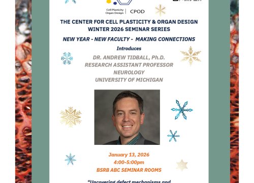 (Expired) CPOD Winter 2026 Seminar Series: "Uncovering defect ...